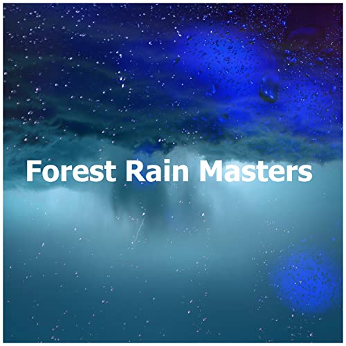 Amazon.com: Forest Rain Masters : Forest Rain FX: Digital Music