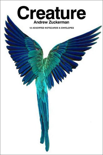 Amazon.com: Creature Notecards: 9780811868198: Zuckerman, Andrew: Books