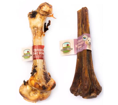 Hundeknochen kaufen – Die 15 besten Produkte im Vergleich ...