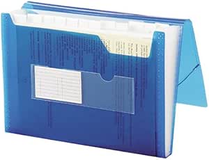 Amazon.com : Office Depot(R) Poly Expanding File, Check Size, 13 ...
