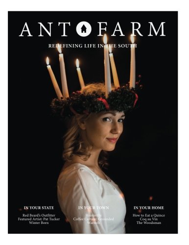 Ant Farm: Redefining Life in the South: Issue Ten: Burn : Amazon.in: Books