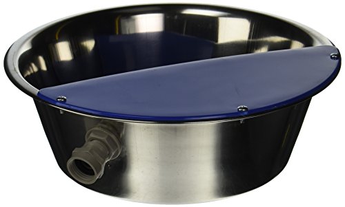 6 Tips for Providing Water to Your Goats - Farmhouse Guide