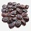 RUKDA® Fresh Organic Tamarind Seeds | Imli Beej | 100% Natural, Non-GMO ...