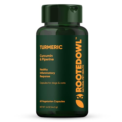 10 Best Turmeric For Cats