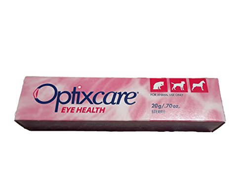 Top 5 Best Eye Ointment for Dogs in 2020 (For Many Dog Eye Problems)