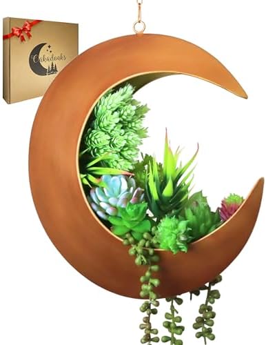 Amazon.com: Hanging Crescent Moon Planter - Moon Room Decor - Unique ...