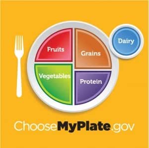 Amazon.com: MyPlate Stickers 2" - Pack of 100 : Toys & Games