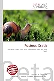 ・製造元:OmniScriptum