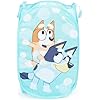 Amazon.com: Jay Franco Bluey & Bingo Pop Up Hamper - Mesh Laundry ...