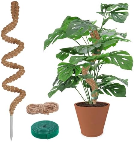 Amazon.com : Moss Pole, 48 Inch Bendable Monstera Plant Support, Moss ...