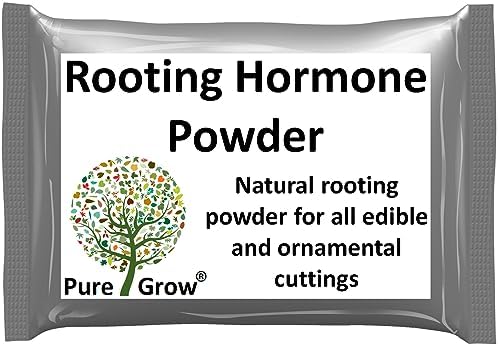 Doff 75G-Ke075 Natural Rooting Powder 75G, White, Packaging May Vary ...