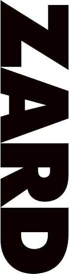 Amazon.co.jp: 35周年記念写真集『ZARD – COLORS –』 (ハードカバー／A4 変形サイズ／176 ページ予定 ...