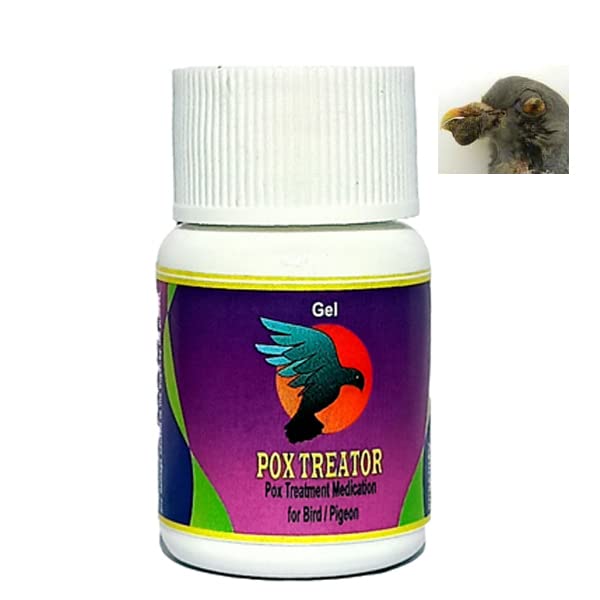 Pigeon POX Medicine (Cream) Pigeon Avian Pox Medicine Pet Supplies Pet ...