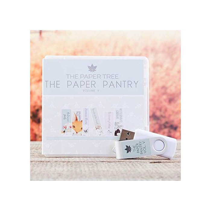 Buy The Paper Tree Paper Pantry-Vol 5 USB Collection, Mix Colours ...