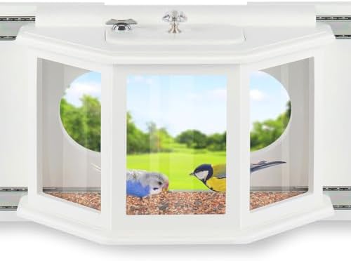 Amazon.com : MIXXIDEA Wooden Window Bird Feeder with Lock, Bird Feeder ...