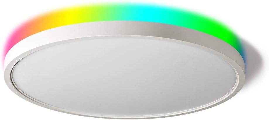 Smart LED Ceiling Light Work with Apple Homekit Alexa and Google Home ...