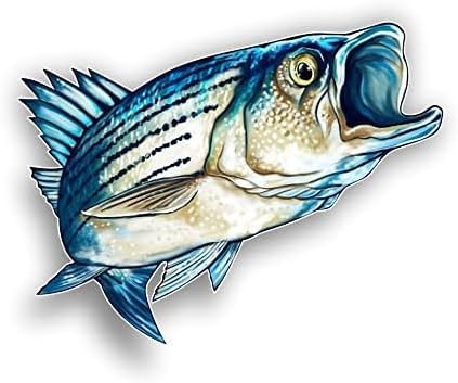 Amazon.com - Striped Bass Fish Sticker/Decal | Fishing Enthusiast Vinyl ...