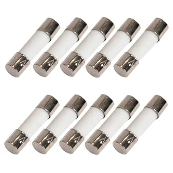 8A Delon Technology - Ceramic Fuses, Fast-Blow, 10 Pack, 5x20mm / 0.2 x ...