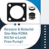 Amazon.com : Southeastern Accessory O-Ring Replacement Kit (1998 to ...