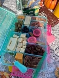 Amazon.com: Charcuterie Safe By SubSafe - Waterproof Tackle Box ...