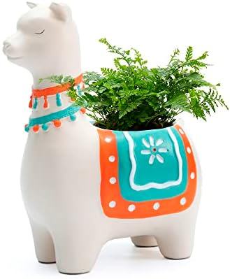 Amazon.com : Kikkerland Lloyd The Llama Ceramic Cute Animal Planter ...