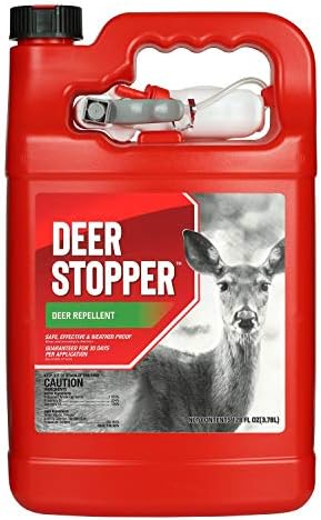 Amazon.com: Bobbex 32 oz. Ready to Use Deer Repellent Spray : Patio ...