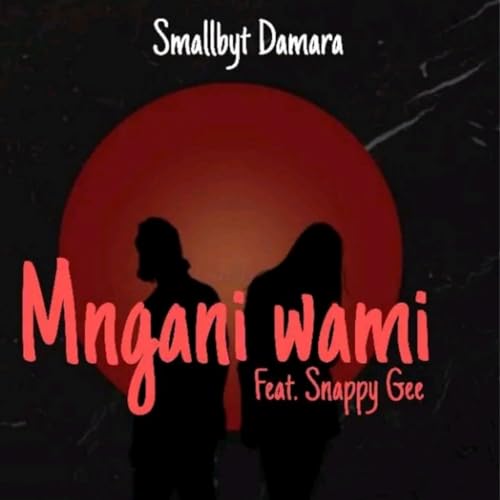 Amazon.co.jp: Mngani Wami [Explicit] : Smallbyt Damara: Digital Music