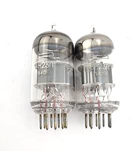 Amazon.com: JINGERL Super Toxic Soviet 6H23n Electron Tube Replacing ...
