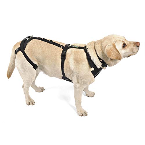 Ortocanis – Full-Body Dog Harness for Fore and Hind Support, Size S ...