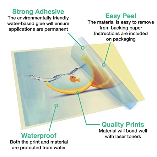 Migliori retini colorati per disegno tecnico | Prezzi, recensioni e ...