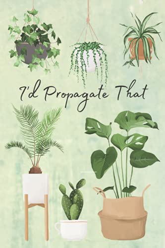 Rigel Smith | Blissed Mama's Amazon Page