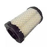 BRIGGS-STRATTON 590825 - Cross reference air filters
