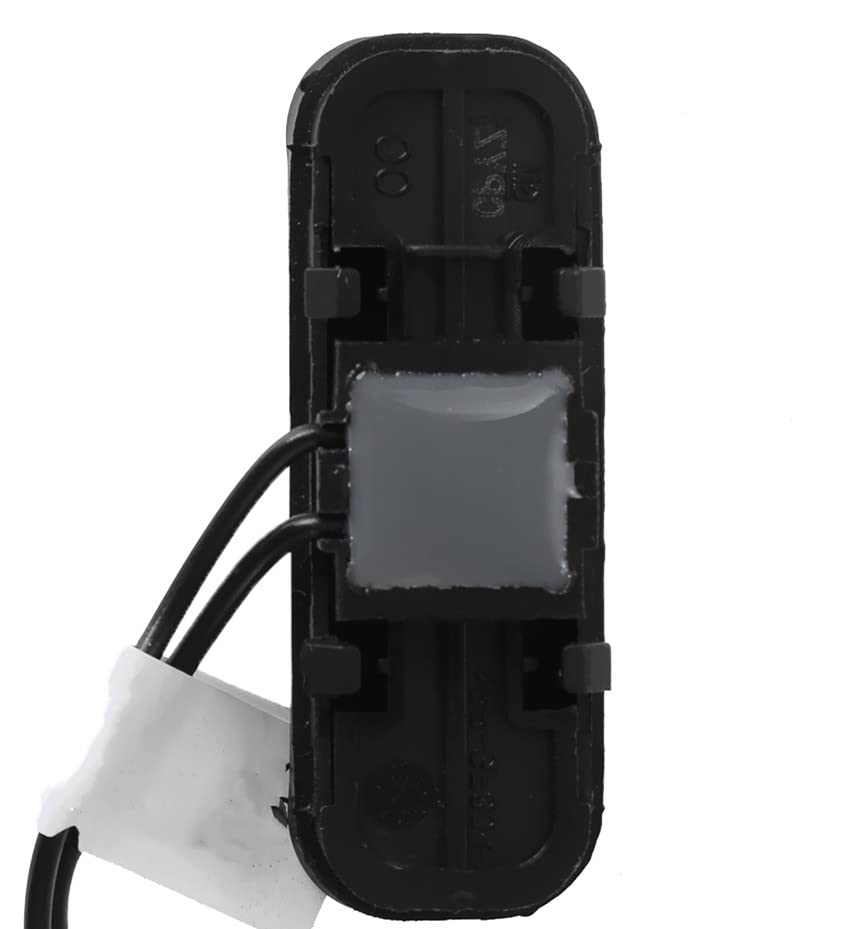 Interruptor de liberación del tronco Botón trasero Placa de matrícula ...