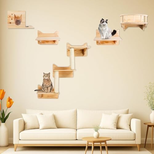 FUKUMARU Climbing Wall Cats, Transparent Space Capsule with 2 Pedals as ...
