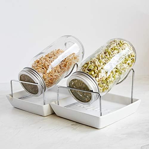 Amazon.com : Seed Sprouting Jar Kit - 2 Sprouter Mason Jars with Screen ...