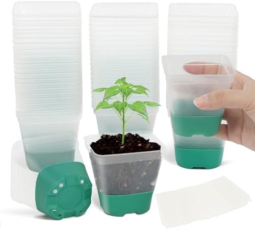 Amazon.com: RGJ 30 Packs 4 Inch Reinforced Clear Nursery Pots for ...
