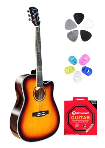 Neowood (FLY-DCM-SB) Dreadnought Cutaway Acoustic Guitar With Matt ...