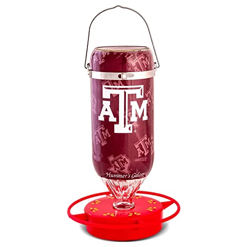 10 Best hummingbird feeder texas