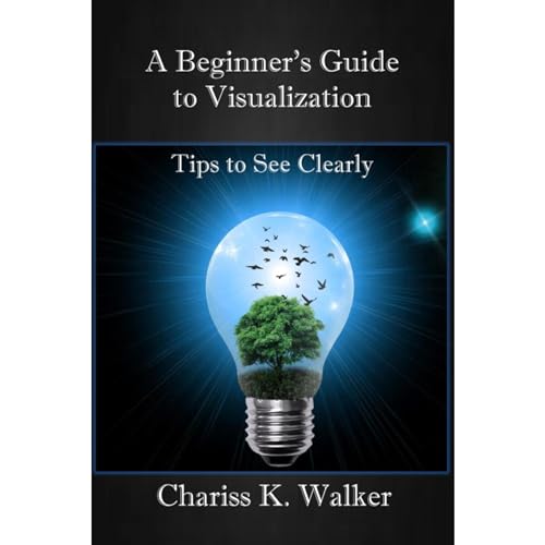 Amazon.com: A Beginner's Guide to Visualization: Tips to See Clearly (Audible Audio Edition ...