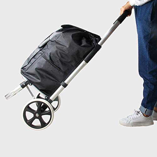 The 25 Best Shopping Carts for Seniors of 2024 [Verified] - Cherry Picks