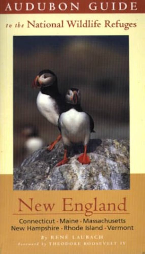 Atlantic Puffin Audubon Field Guide Atlantic Puffin With Baitfish In