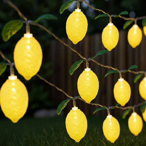 Amazon.com: 3D Lemon LED String Lights Battery Operated Light String 9 ...