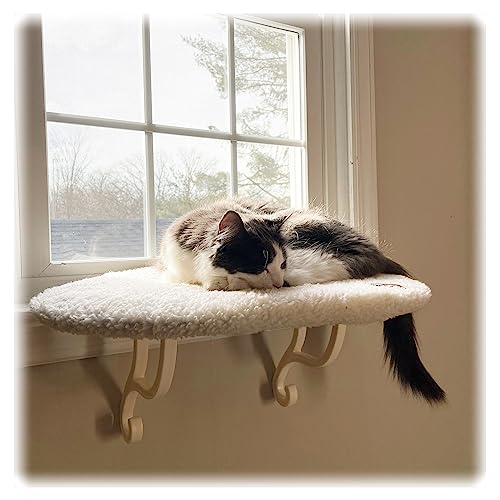 Cat Window Seat – The 15 best products compared - Wild Explained