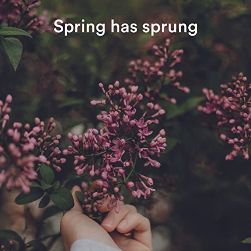 Amazon MusicでVARIOUS ARTISTSのSpring has sprungを再生する