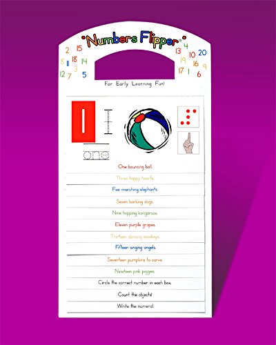 Numbers Flipper: 9781878383365: Amazon.com: Books