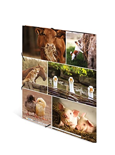 HERMA 19344 Portfolio Folder DIN A4 Animal Worlds Farm Animals Sturdy ...