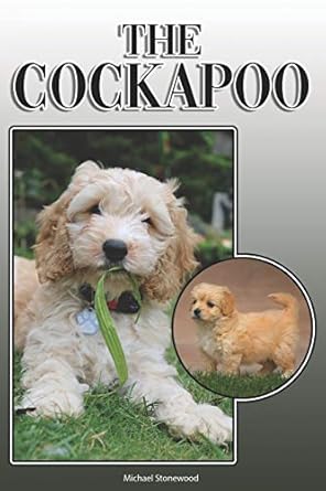 The Cockapoo: A Complete and Comprehensive Owners Guide to: Buying ...
