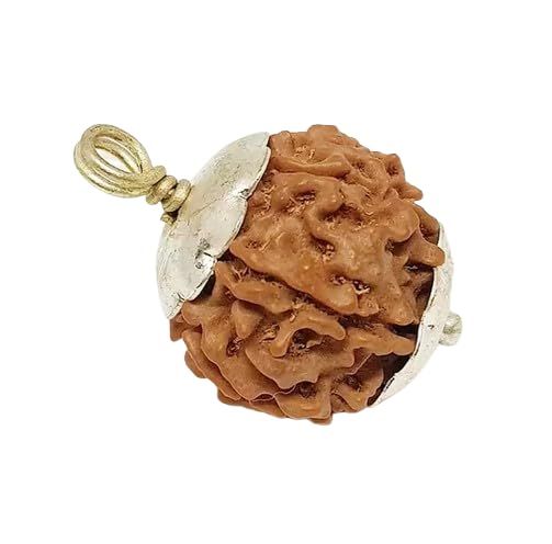 FINE GEMS Pure Brown Saptmukhi Rudraksha Original Certified Blessed by ...