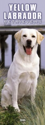Amazon | Labrador Retrievers, Yellow Slimline 2005 Calendar | 輸入版カレンダー