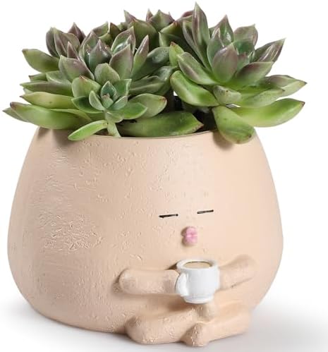 Amazon.com : Biggun Cute Plant Pots, 6x4.5 Inch Large Succulent Flower ...